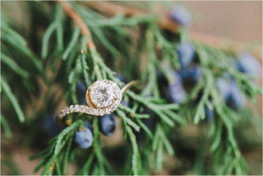 Alec and Ally - Annamarie Akins Photography | Virginia and Destination ...